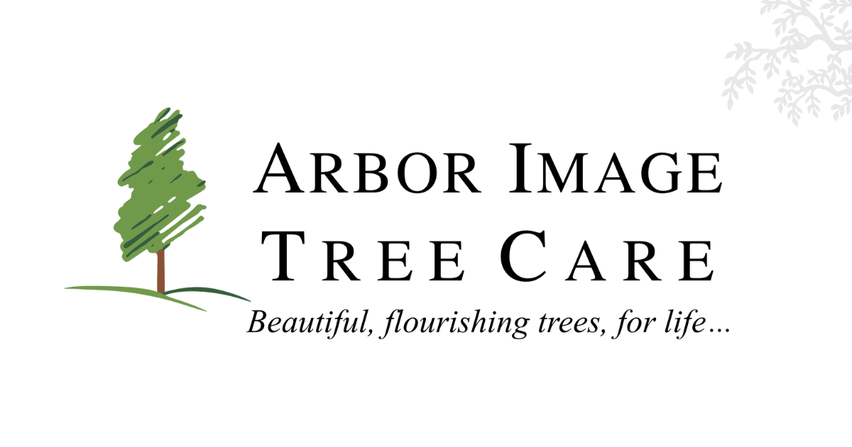 Meet Our Professional Tree Services Team | Arbor Image